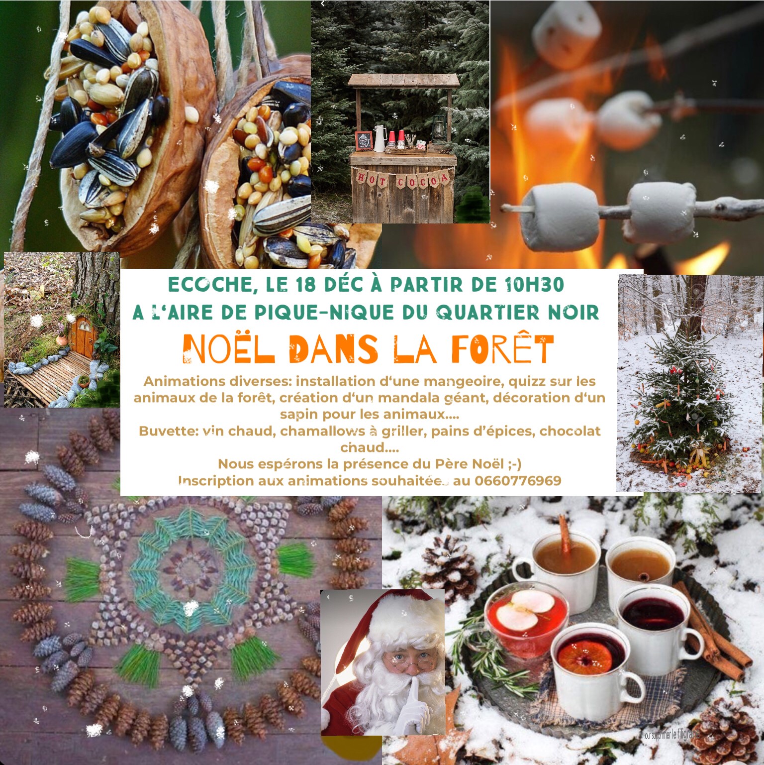 MATINÉE "NOËL DANS LA FORET" - Commune d'Ecoche