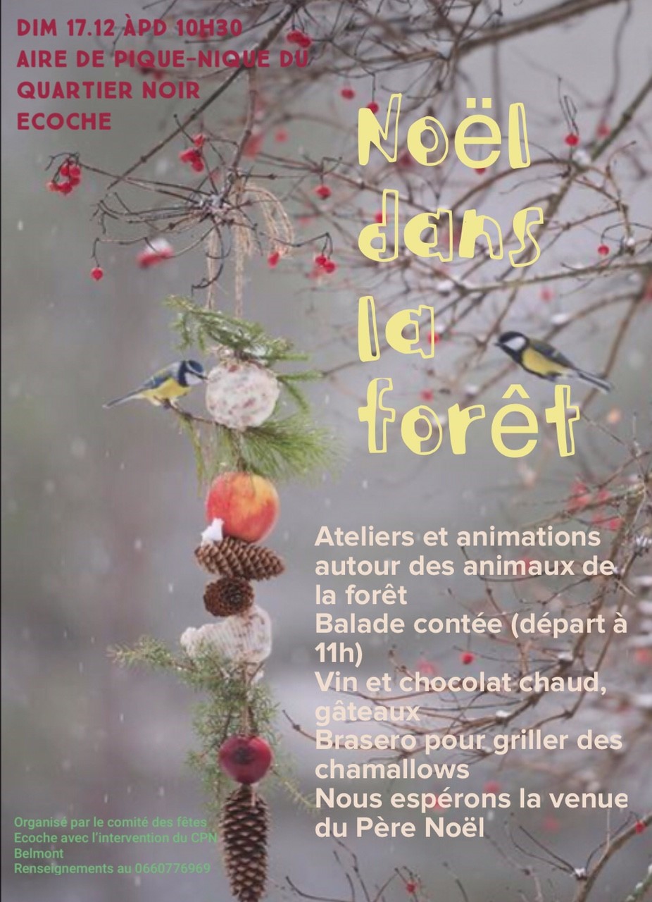 NOËL DANS LA FORET - Commune d'Ecoche